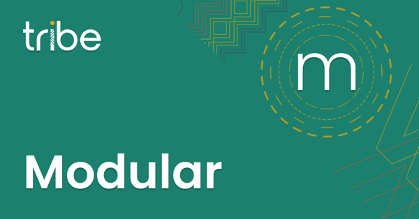 Tribe Tech: Get to know what Tribe can offer you
